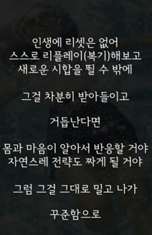 인생에 리셋은 없어 에누리 쇼핑지식 자유게시판