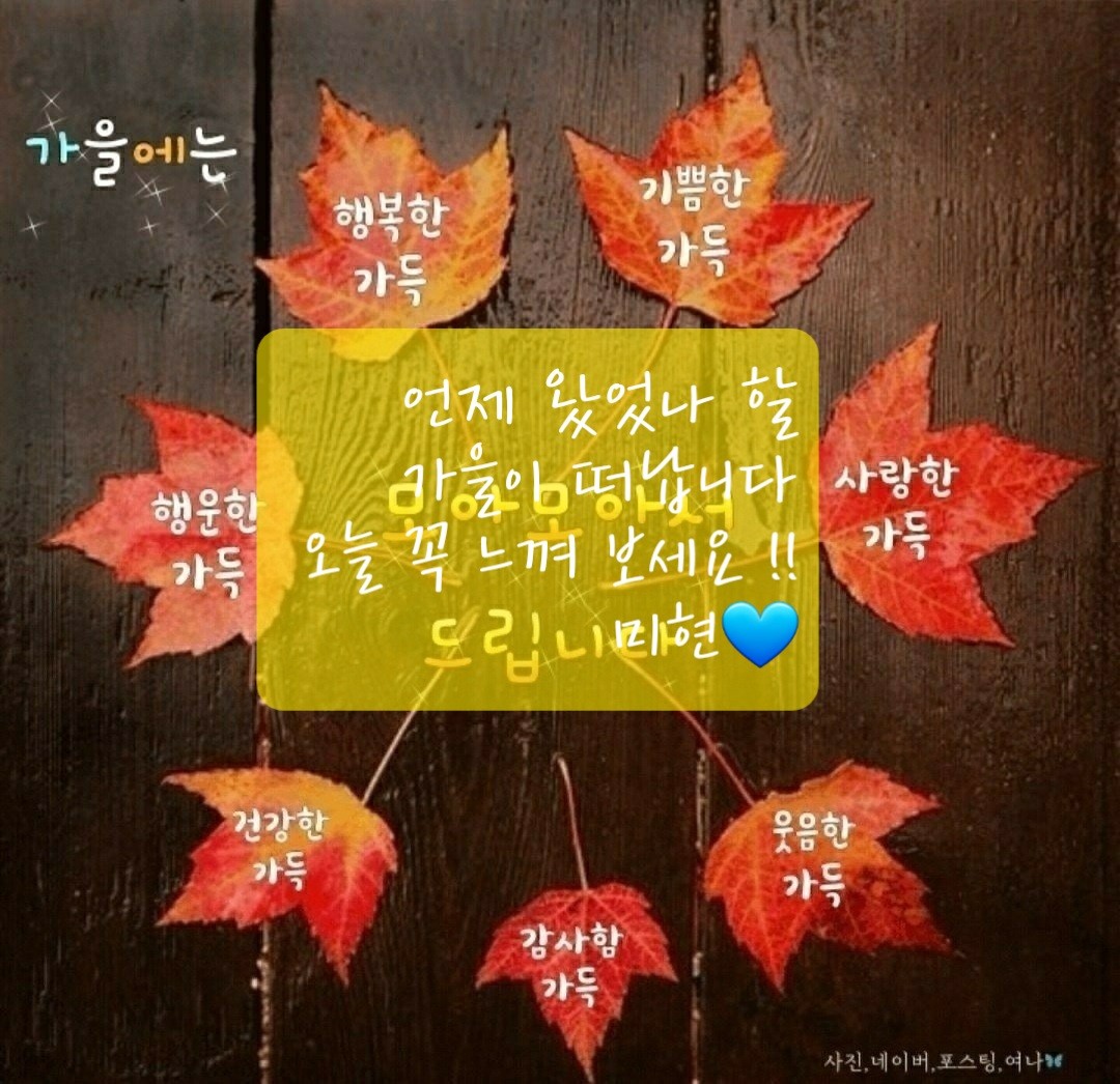 가을 가기전에 에누리 쇼핑지식 자유게시판