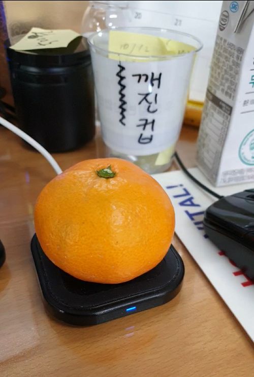 당충전 에누리 쇼핑지식 자유게시판