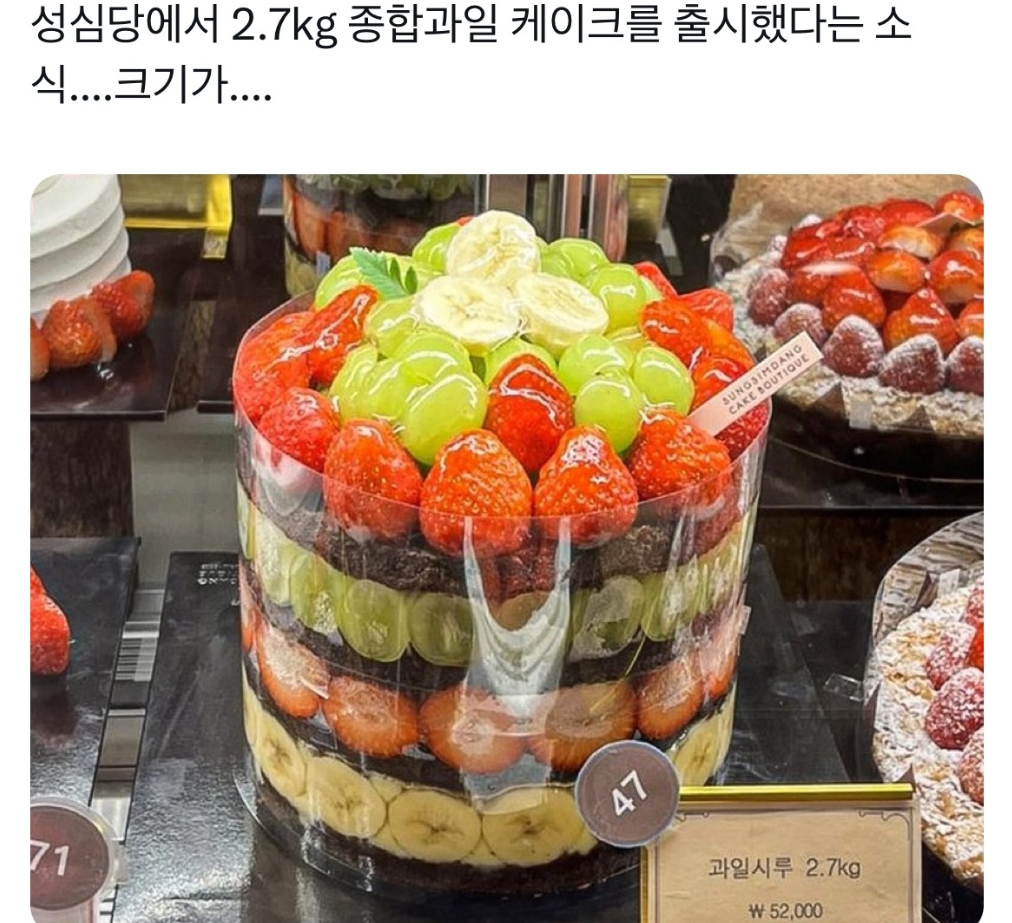 2.7kg 종합과일 케이크 출시한 성심당 .. - 에누리 쇼핑지식 자유게시판