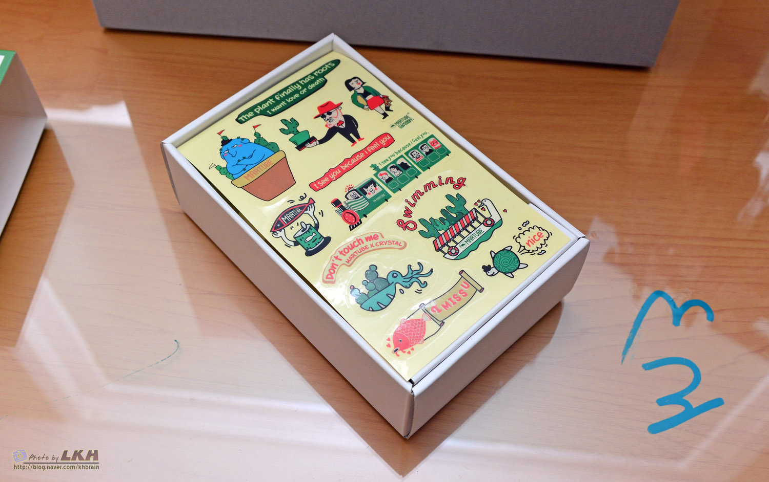 너무너무 귀염귀염한 "디셈 선인장 US - 에누리 쇼핑지식 리뷰