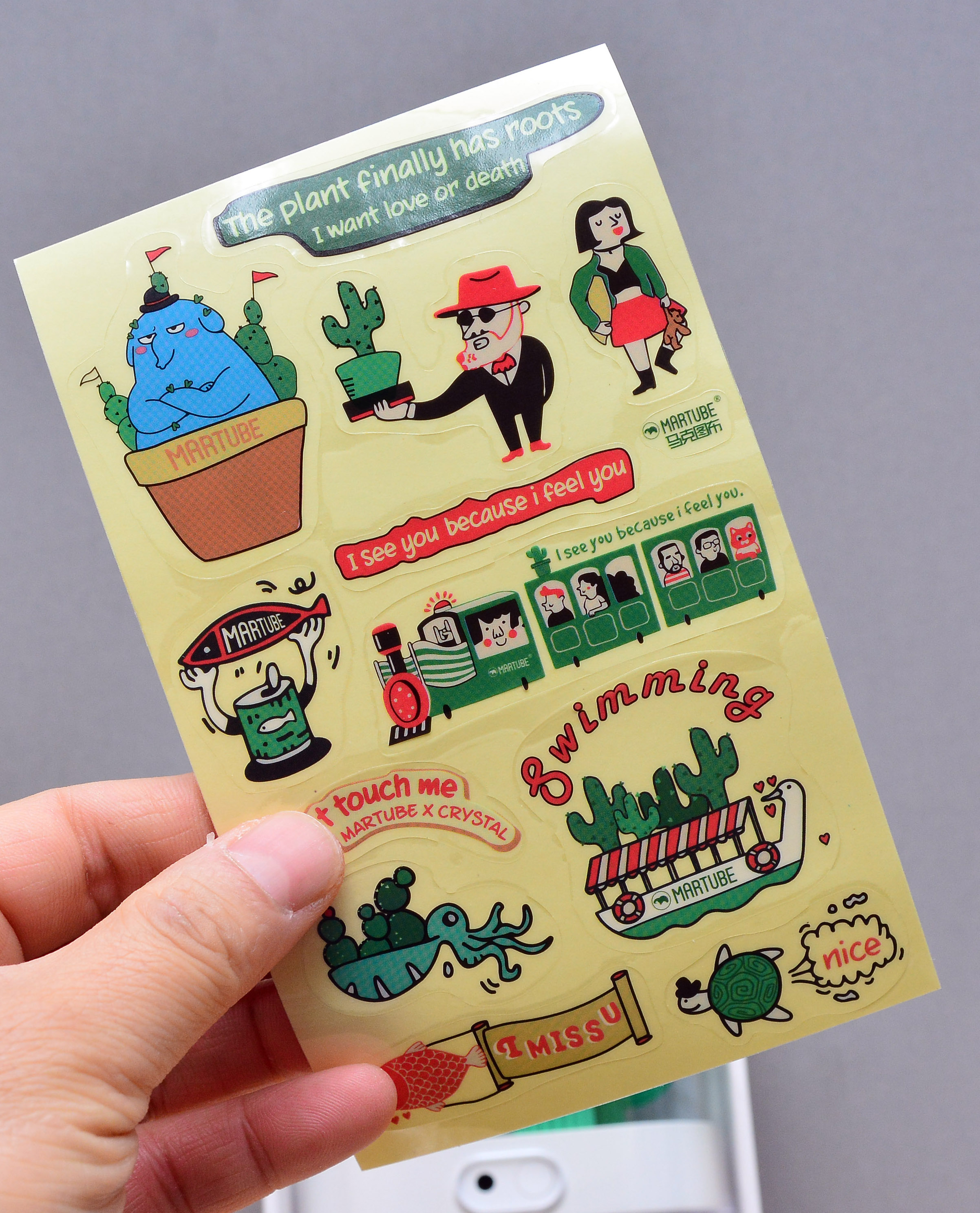 너무너무 귀염귀염한 "디셈 선인장 US - 에누리 쇼핑지식 리뷰