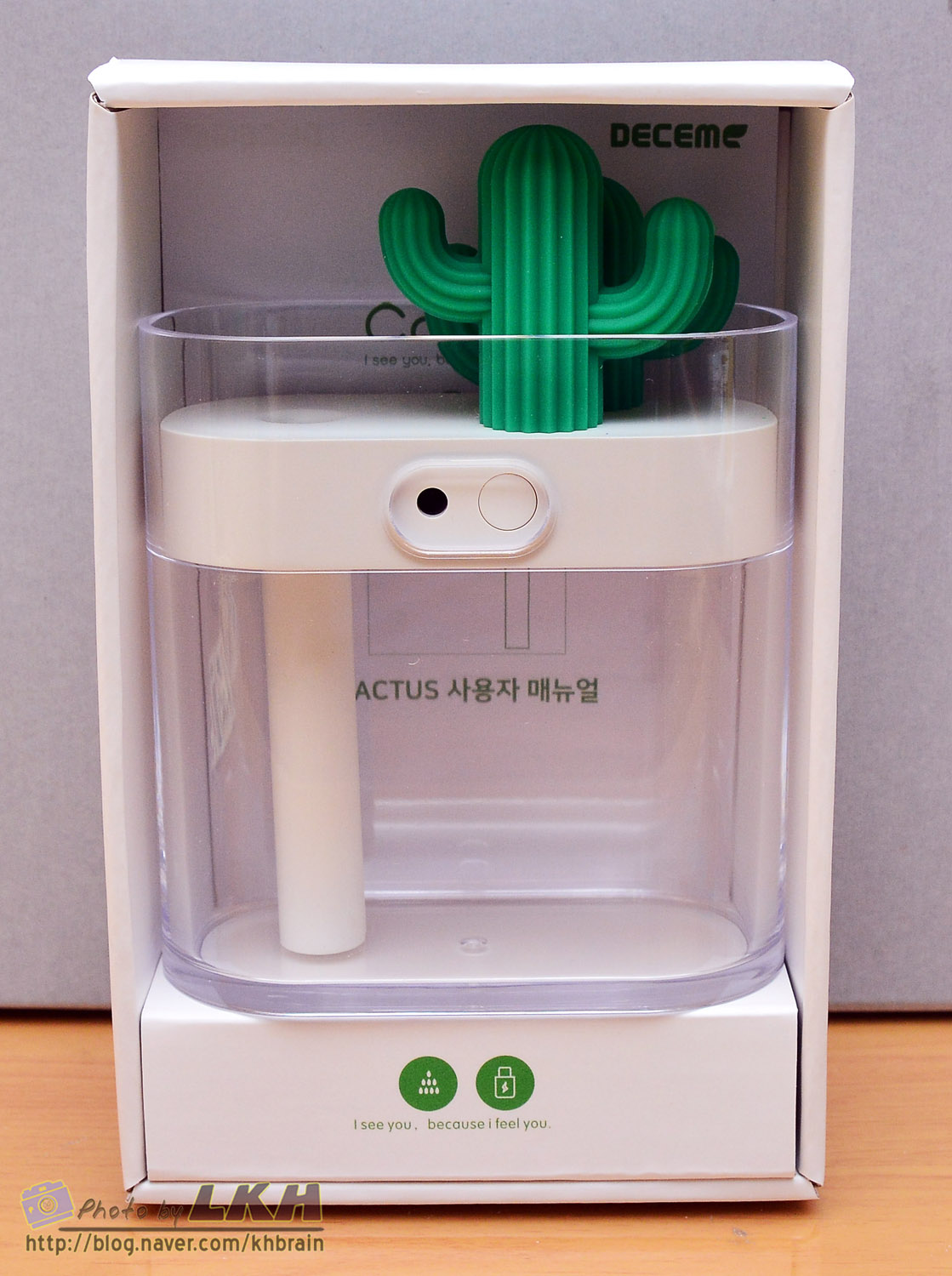너무너무 귀염귀염한 "디셈 선인장 US - 에누리 쇼핑지식 리뷰