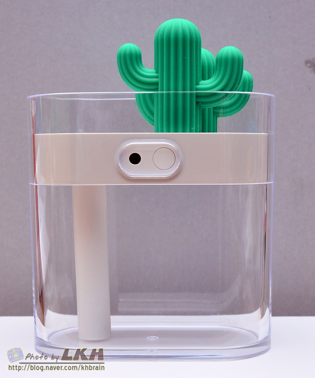너무너무 귀염귀염한 "디셈 선인장 US - 에누리 쇼핑지식 리뷰