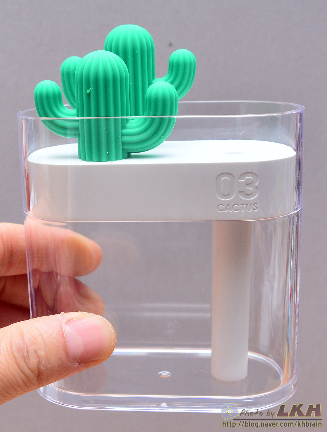 너무너무 귀염귀염한 "디셈 선인장 US - 에누리 쇼핑지식 리뷰