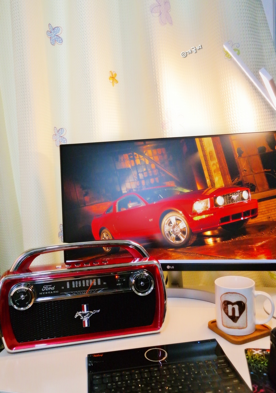 머스탱 스테레오 아이온오디오 후기 - 에누리 쇼핑지식 리뷰