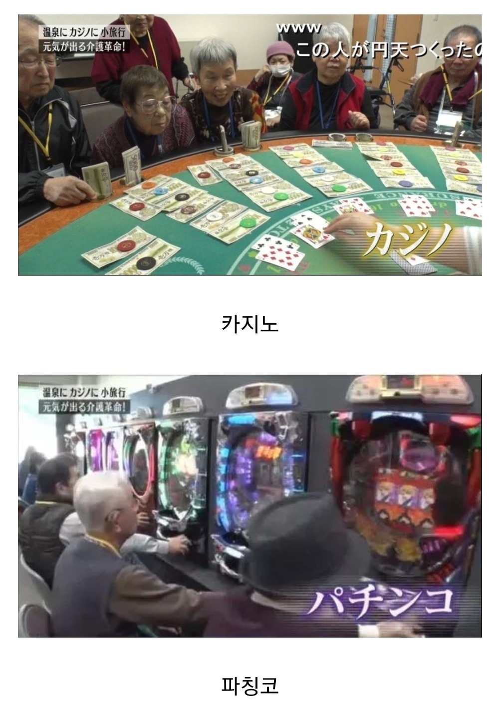 일본의 양로원 - 에누리 쇼핑지식 자유게시판