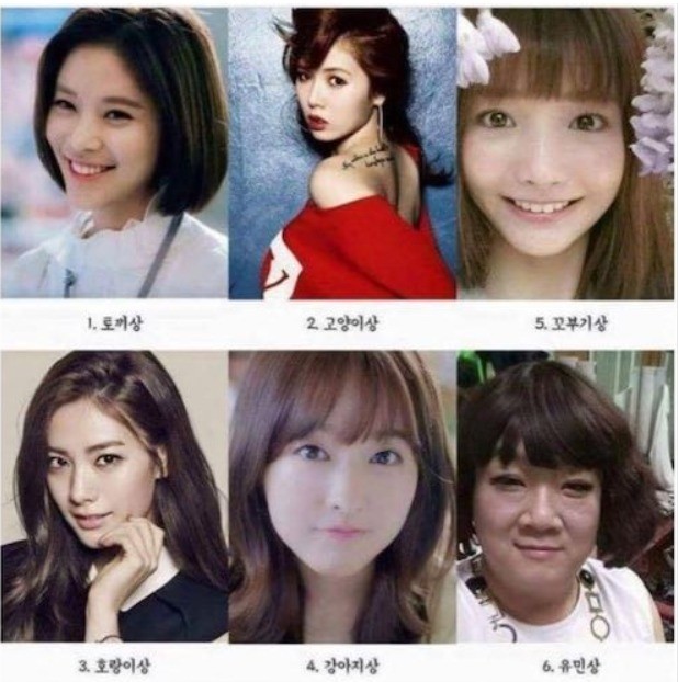 여자 얼굴상 종류 ★ - 에누리 쇼핑지식 자유게시판