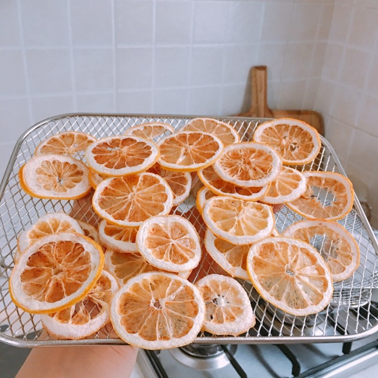 리큅 미니 식품건조기 LD-401SP - 에누리 쇼핑지식 리뷰