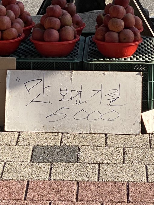 조카 3호가 독사과냐고 물어봤다 - 에누리 쇼핑지식 자유게시판