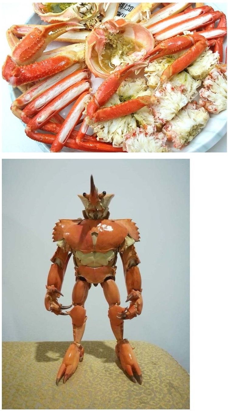 대게 껍데기로 만든 프라모델 - 에누리 쇼핑지식 자유게시판