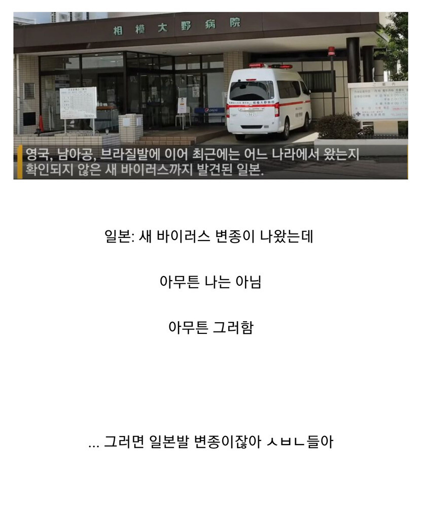 부모 잃은 일본 바이러스 변종 - 에누리 쇼핑지식 자유게시판