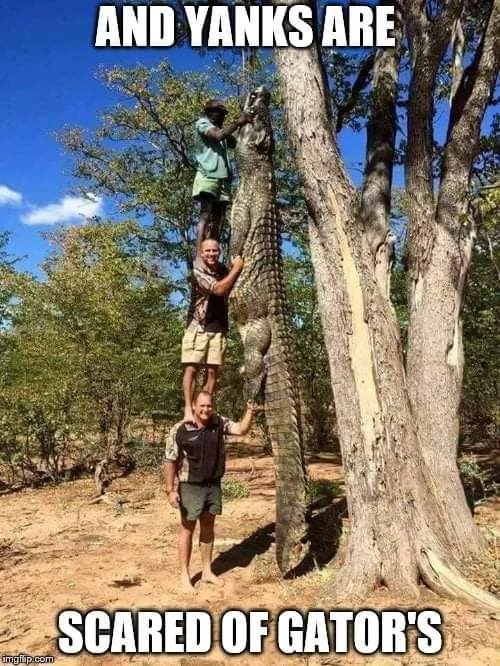 사람과 악어 크기 비교 - 에누리 쇼핑지식 자유게시판