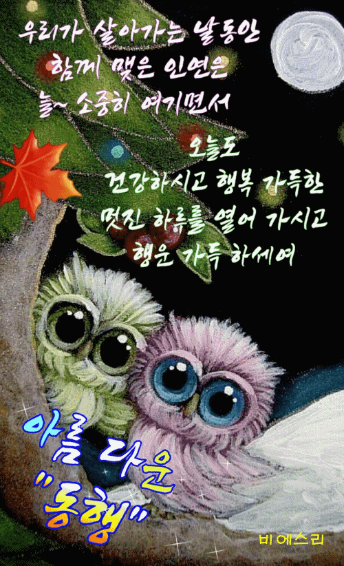 [좋은글]아름다운 동행~~ - 에누리 쇼핑지식 자유게시판