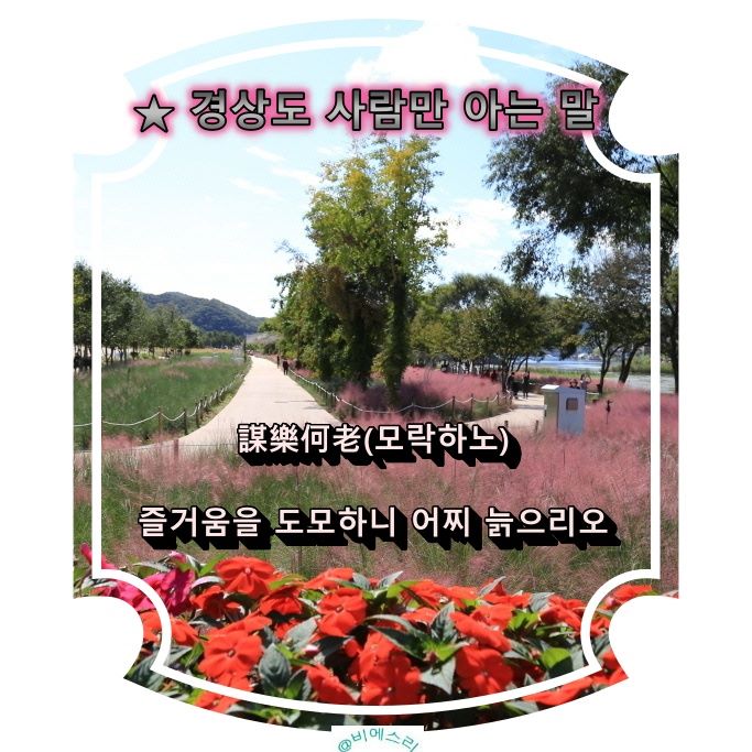 [유머]중국 사람도 모르는 한자성어 - 에누리 쇼핑지식 자유게시판