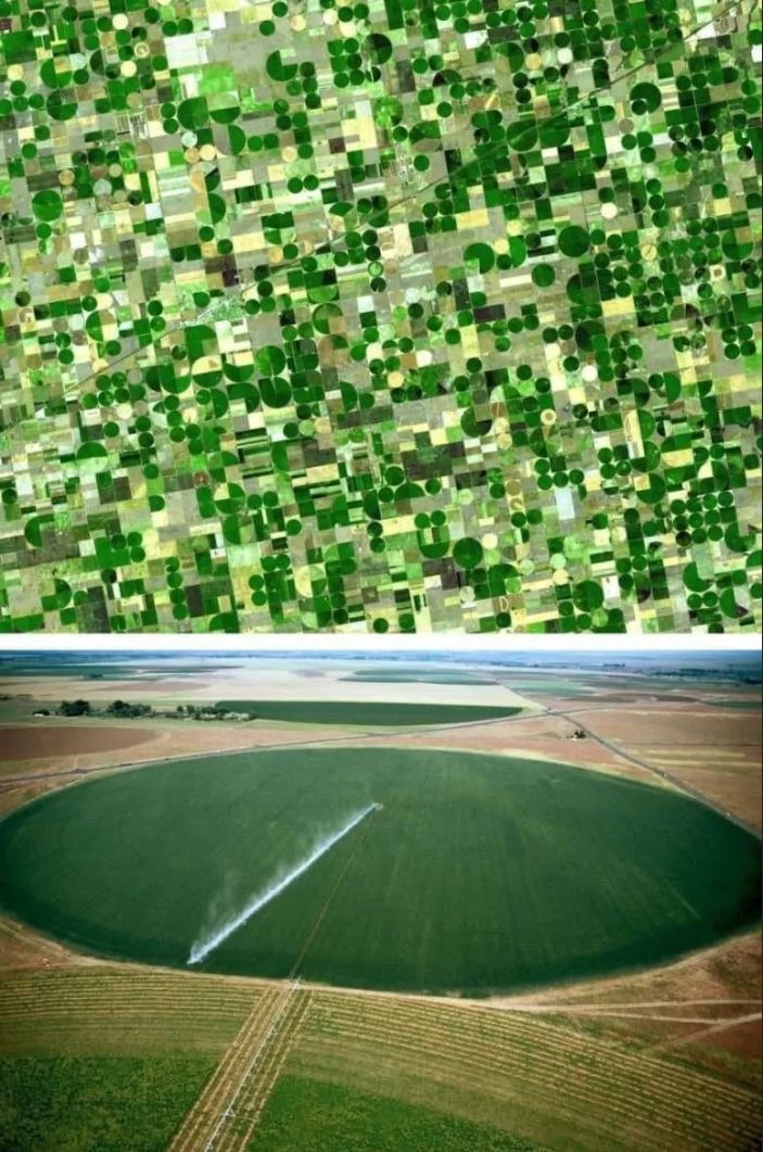 미국과의 농산물 경쟁이 의미없는 이유 - 에누리 쇼핑지식 자유게시판