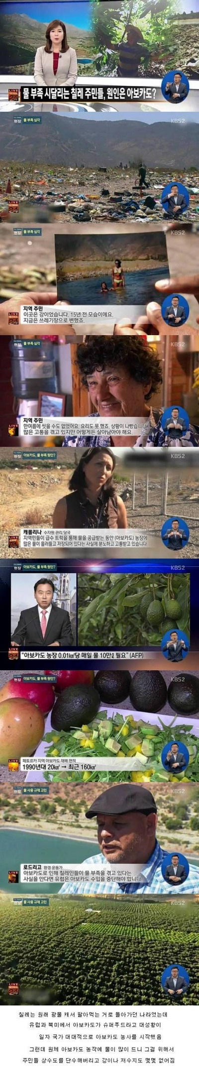 아보카도 소비를 자제해야 하는 이유 - 에누리 쇼핑지식 자유게시판