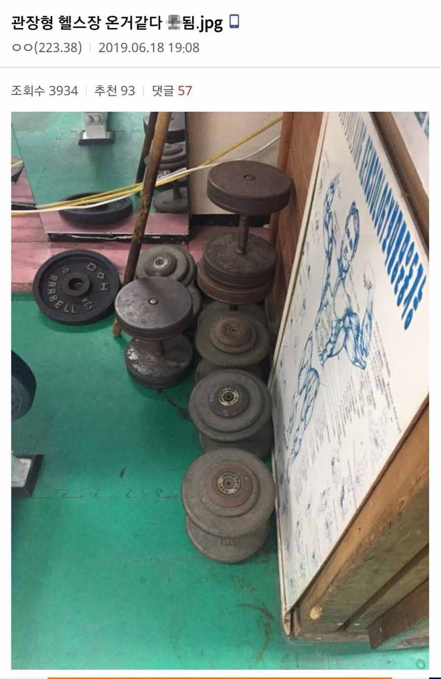 인스타 감성따윈 없는 '진짜' - 에누리 쇼핑지식 자유게시판