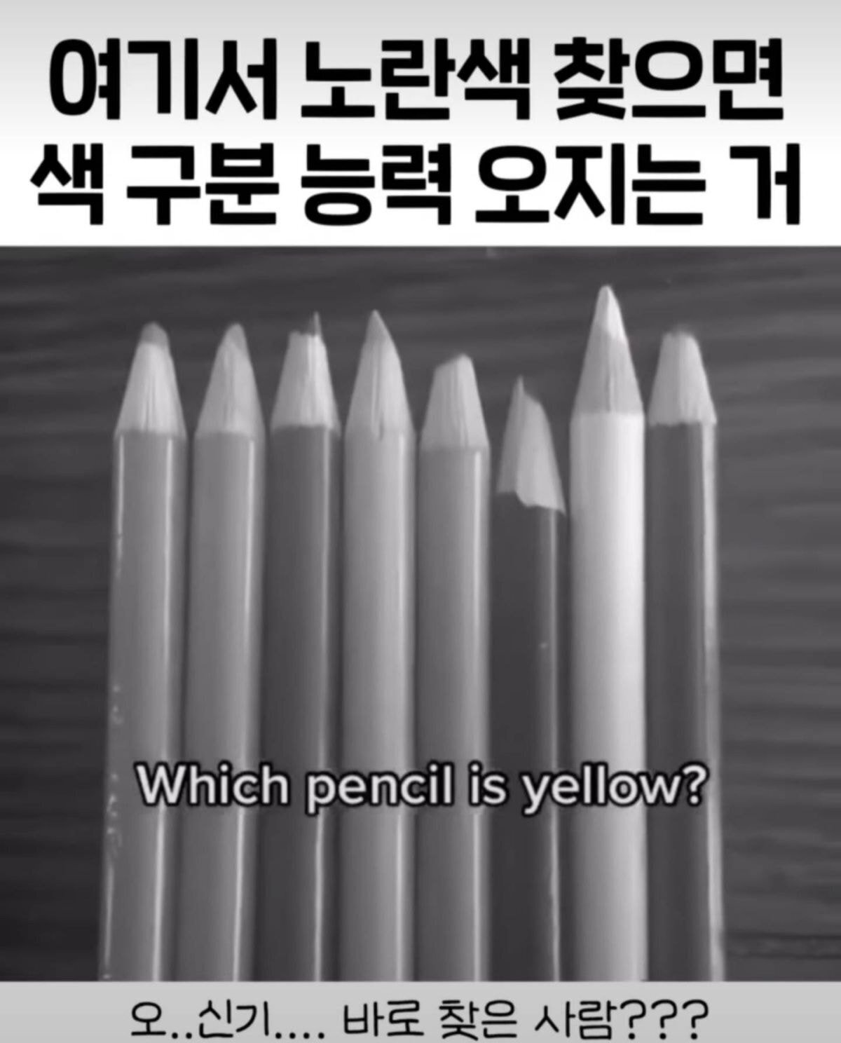 여기서 노란색 찾기 - 에누리 쇼핑지식 자유게시판