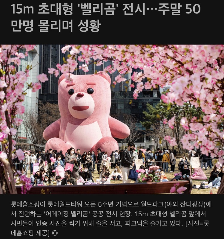 15M 초대형 밸리곰 - 에누리 쇼핑지식 자유게시판