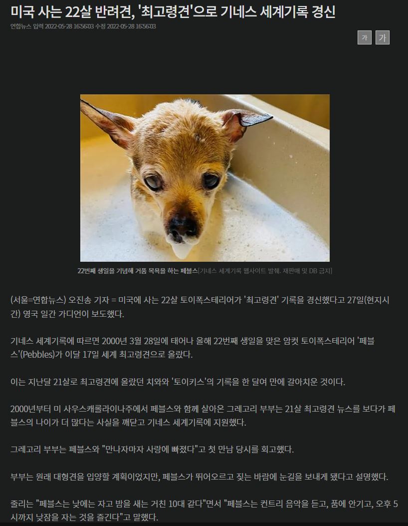 미국 22살 반려견 세계최고령견 기네스북 갱신 - 에누리 쇼핑지식 자유게시판