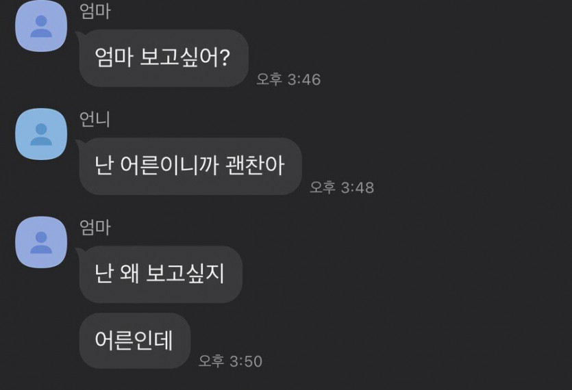 엄마 보고 싶어 에누리 쇼핑지식 자유게시판