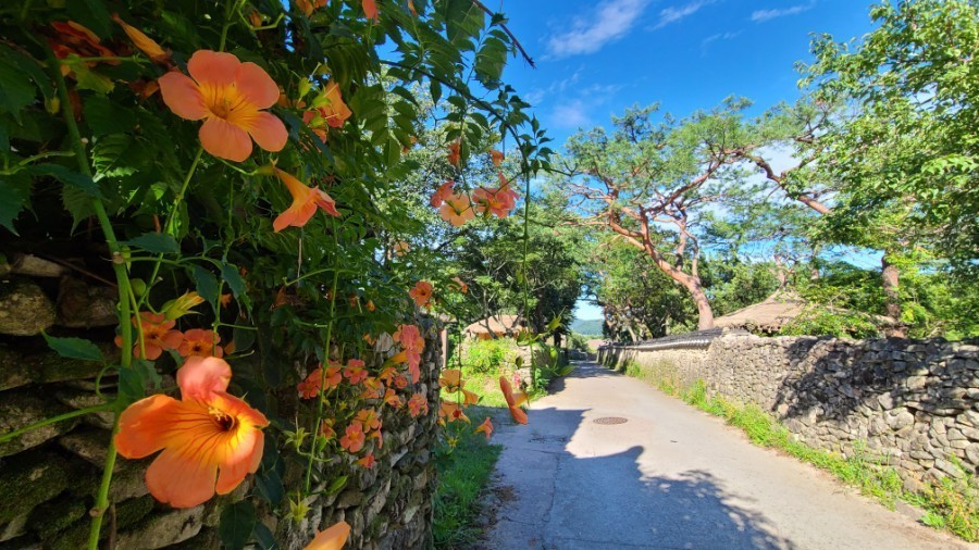 여기좋아-외암리 민속마을 - 에누리 쇼핑지식 자유게시판