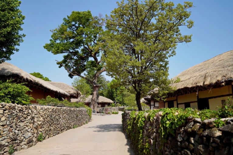 여기좋아-외암리 민속마을 - 에누리 쇼핑지식 자유게시판