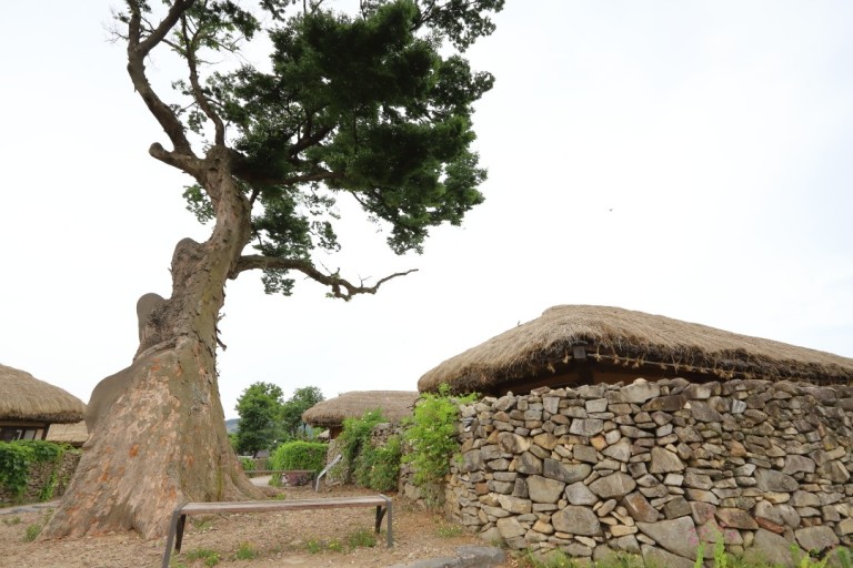 여기좋아-외암리 민속마을 - 에누리 쇼핑지식 자유게시판