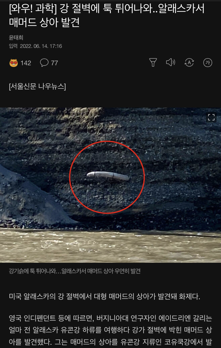 알래스카 강절벽에 튀어나온 매머드 상아 - 에누리 쇼핑지식 자유게시판