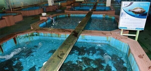 의외로 원자력발전소 내에 있는 것 - 에누리 쇼핑지식 자유게시판