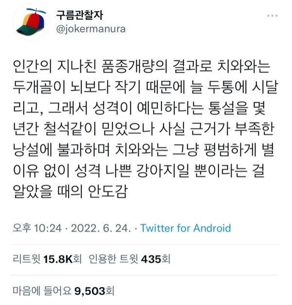 인간의 지나친 품종개량의 결과로 치와와는 두개골이... - 에누리 쇼핑지식 자유게시판