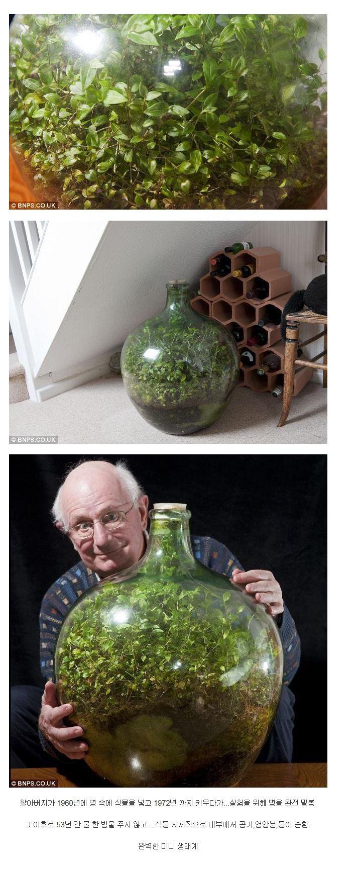 생태계를 만든 할아버지 - 에누리 쇼핑지식 자유게시판