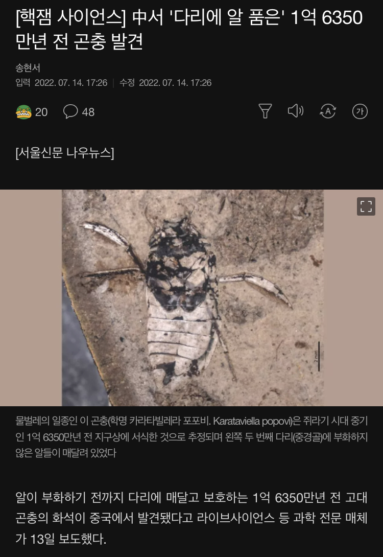 다리 알품은 1억6350만년전 곤충 - 에누리 쇼핑지식 자유게시판
