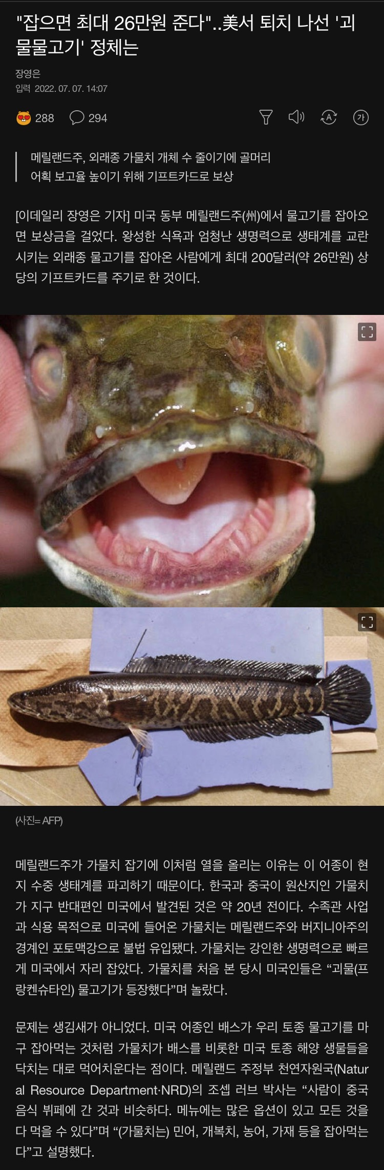 美매릴랜드주 한국 토종어종 잡으면 26만원 준다 - 에누리 쇼핑지식 자유게시판