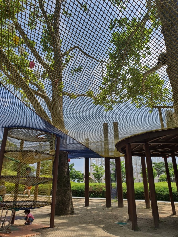 8월20일-여름밤의 바다 이야기 - 에누리 쇼핑지식 자유게시판