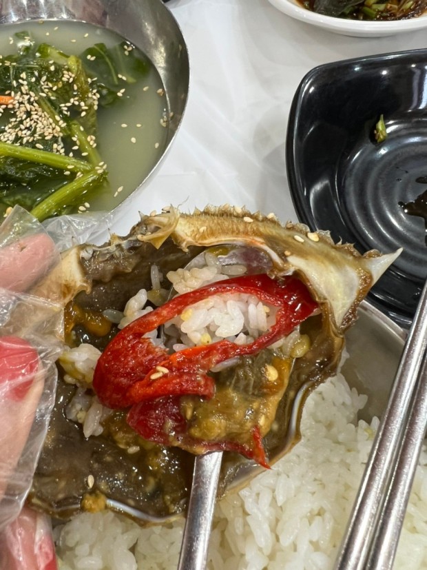 8월10일-눈 깜짝 할 새. - 에누리 쇼핑지식 자유게시판