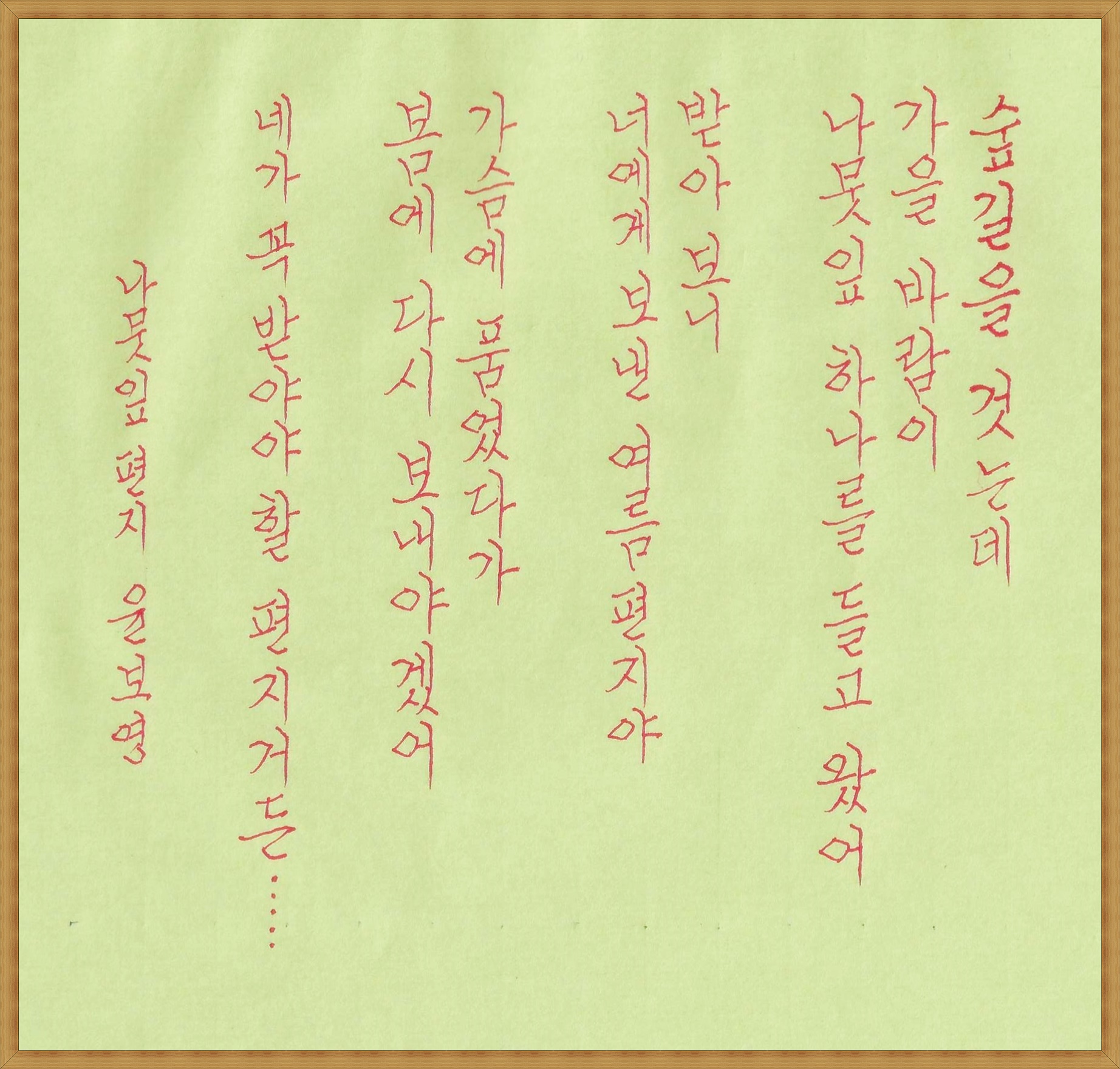 나뭇잎 편지 - 에누리 쇼핑지식 자유게시판