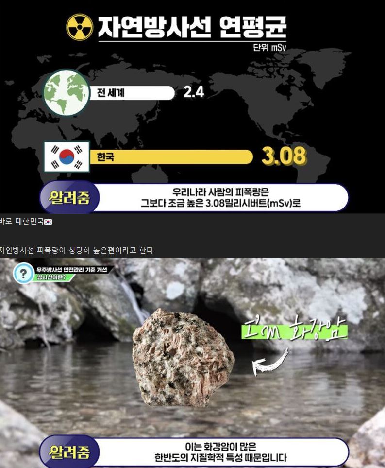 한국인의 방사선 피폭량 수준 - 에누리 쇼핑지식 자유게시판