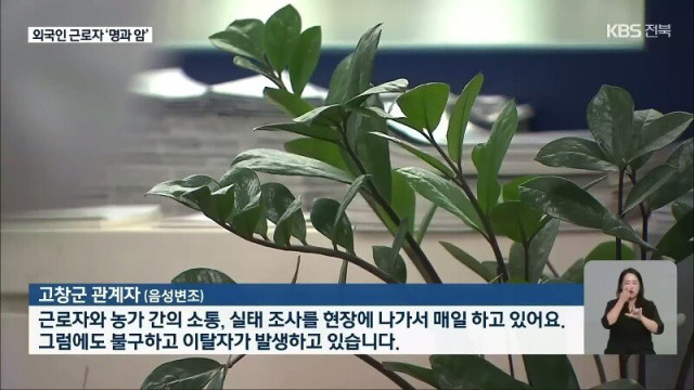 요즘 외국인 노동자들 근황 - 에누리 쇼핑지식 자유게시판