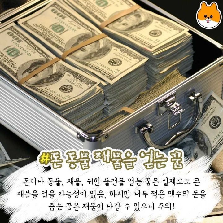 좋은 일 예고하는 꿈해몽 모음 - 에누리 쇼핑지식 자유게시판