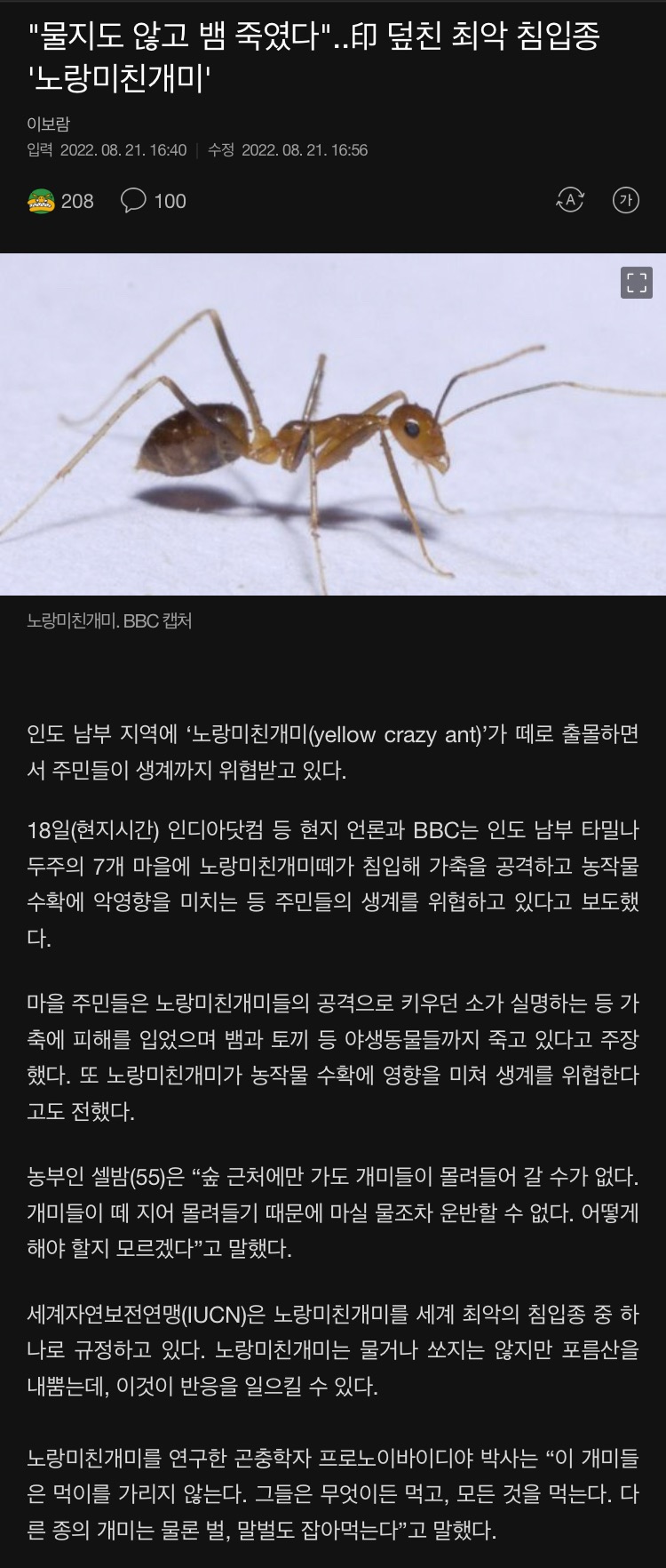 인도네시아 덥친 노랑미친개미 - 에누리 쇼핑지식 자유게시판