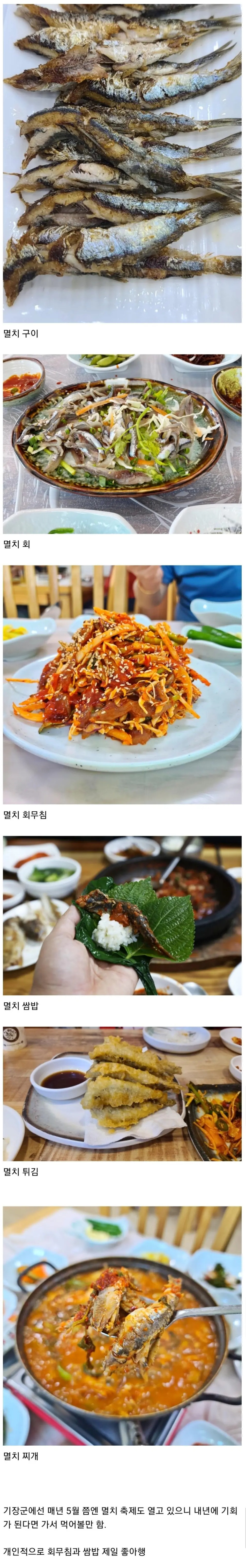 경남 지방에서 먹는 멸치 요리 - 에누리 쇼핑지식 자유게시판