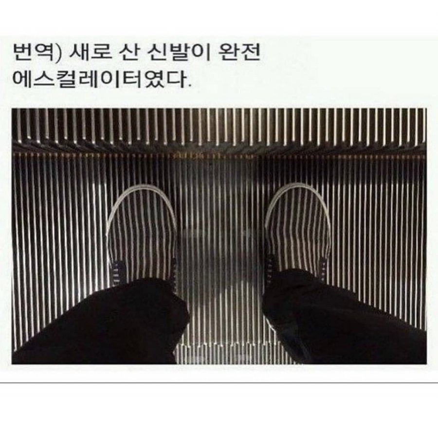 새로 산 신발 - 에누리 쇼핑지식 자유게시판