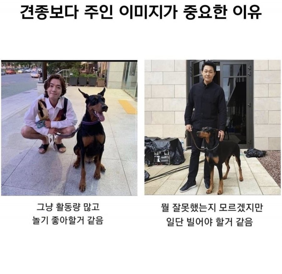 견종보다 주인 이미지가 중요한 이유 - 에누리 쇼핑지식 자유게시판