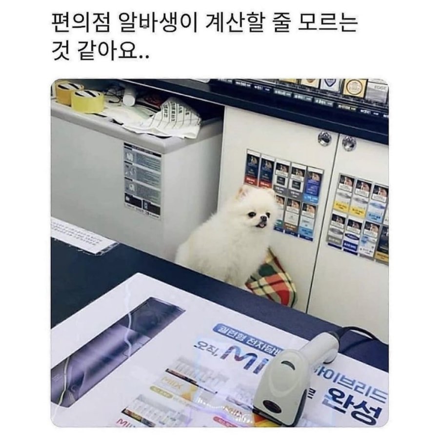 계산 못하는 알바생 - 에누리 쇼핑지식 자유게시판