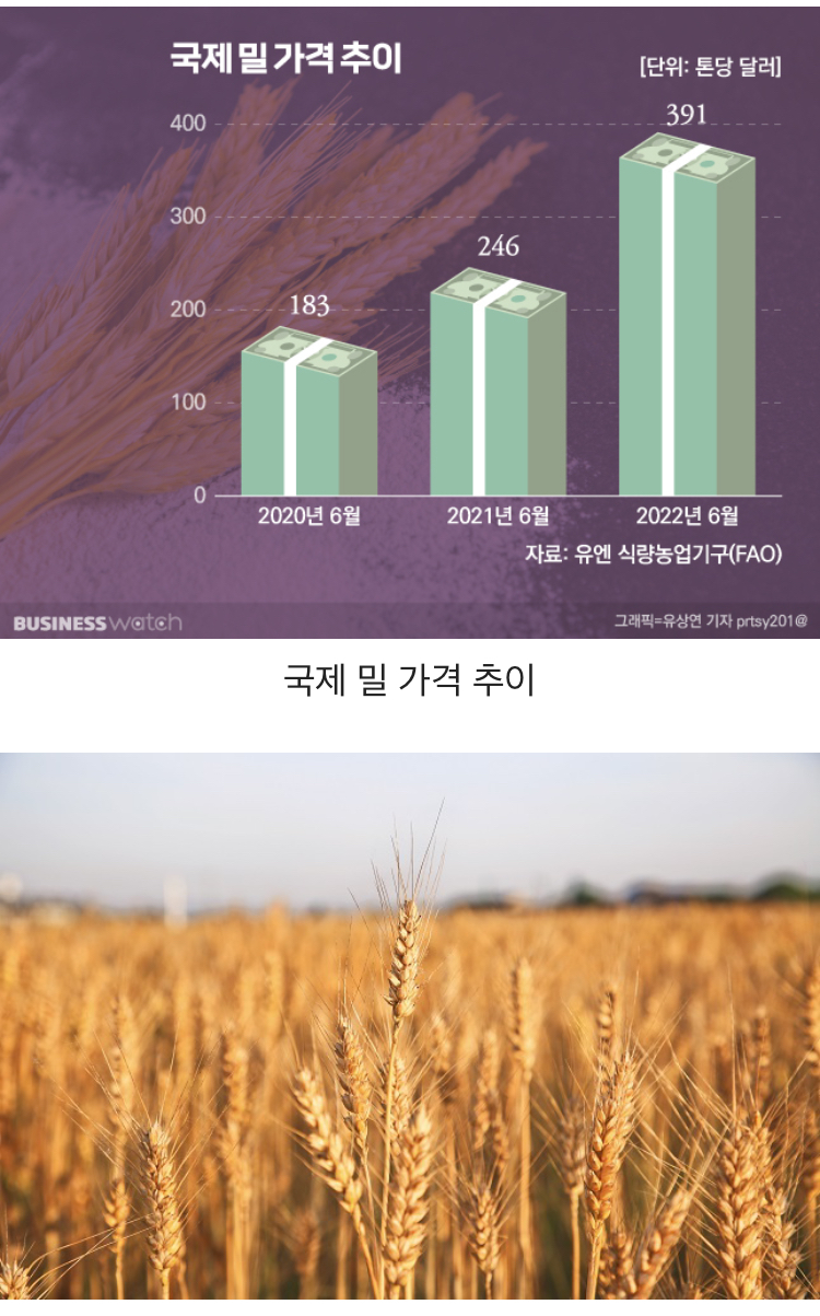 밀가격 내리면 다시 가격 내리겠다는 유일한 기 - 에누리 쇼핑지식 자유게시판