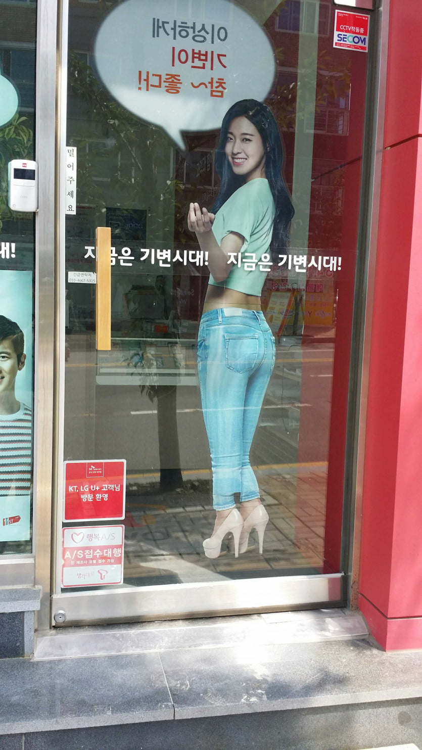 현실적인 비율 - 에누리 쇼핑지식 자유게시판