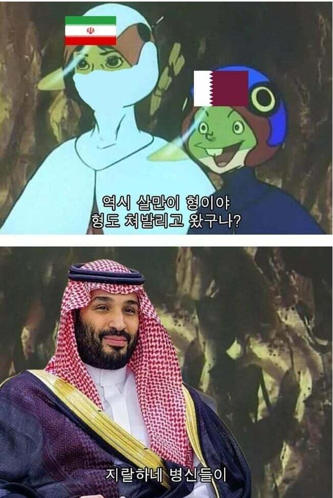 살만이형도 쳐발렸구나 - 에누리 쇼핑지식 자유게시판