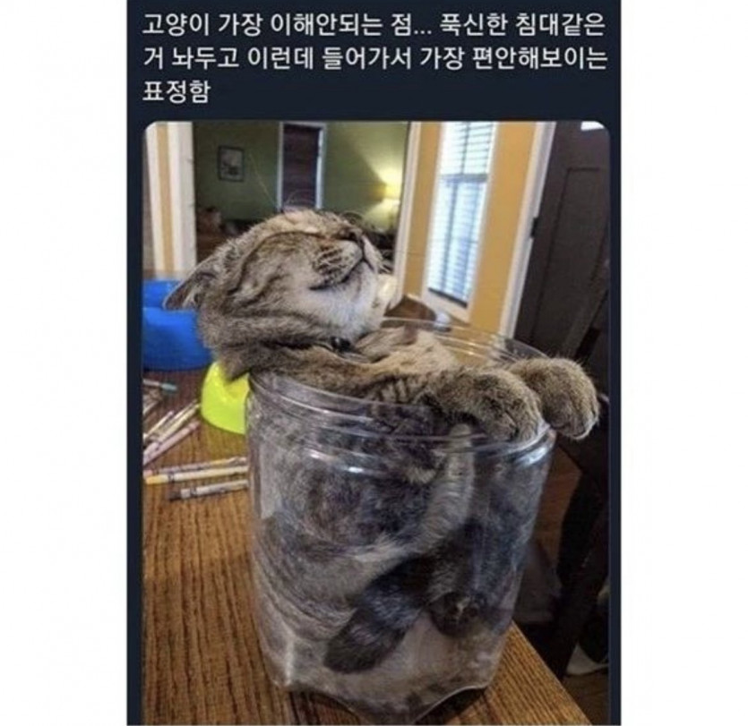 네이버 뿜